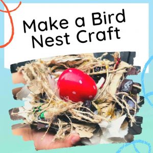 Learning About Birds - Activities For Preschoolers - Home Time Activities