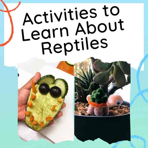 Reptile Activities for Kids - Fun Ideas | Home Time Activities