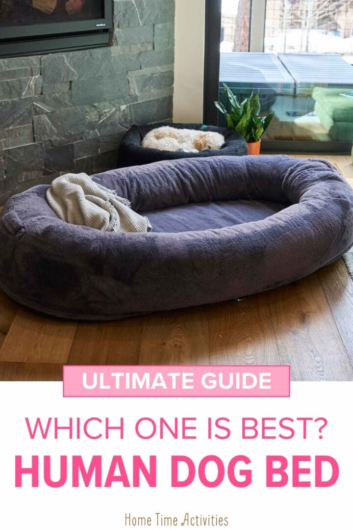Human Dog Bed - Everything You Need to Know Before You Buy