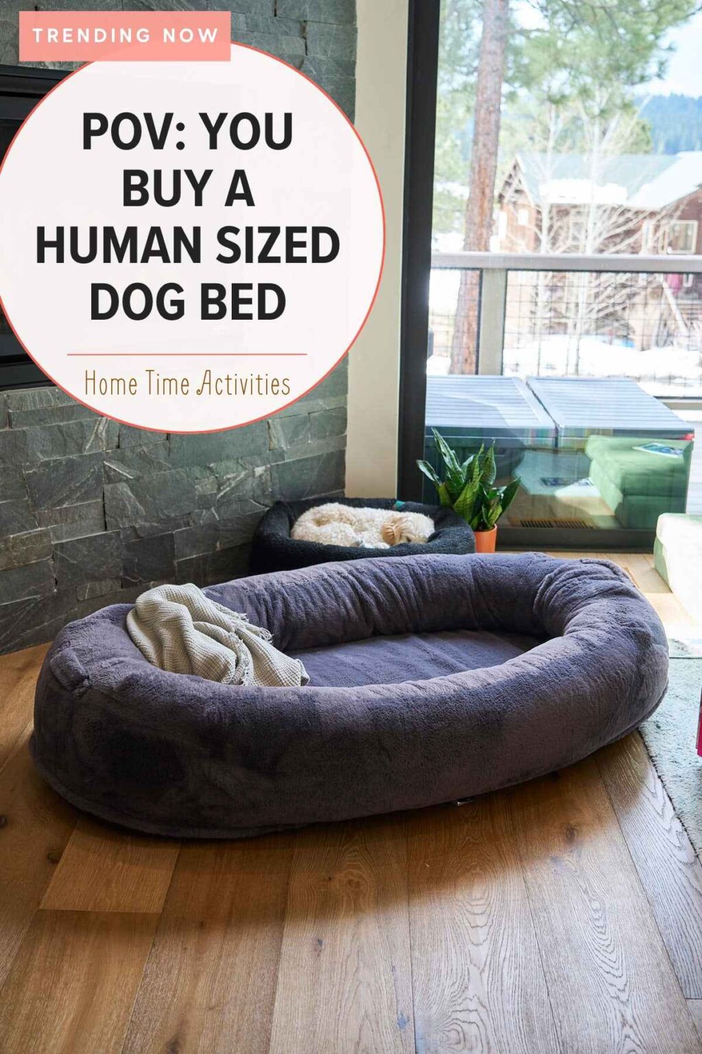 Human Dog Bed - Everything You Need to Know Before You Buy