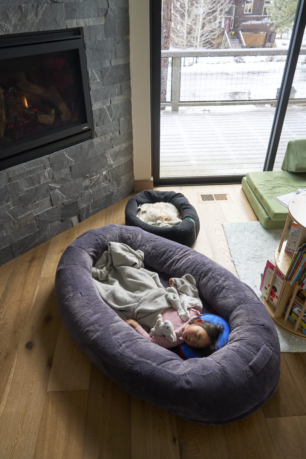Human Dog Bed - Everything You Need to Know Before You Buy