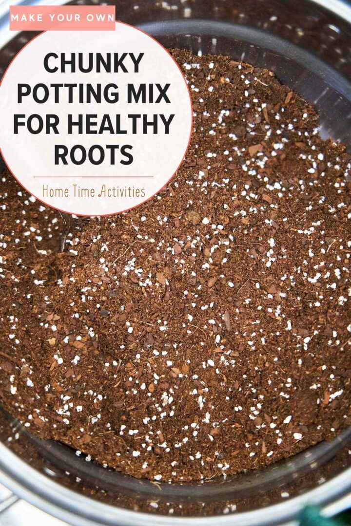 Hoya and Aroid Potting Mix - DIY Chunky Potting Mix That Works