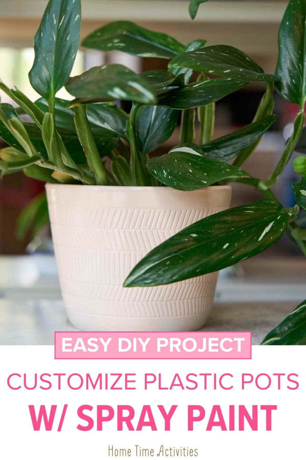 How To Spray Paint Planter Pots - Best Tips
